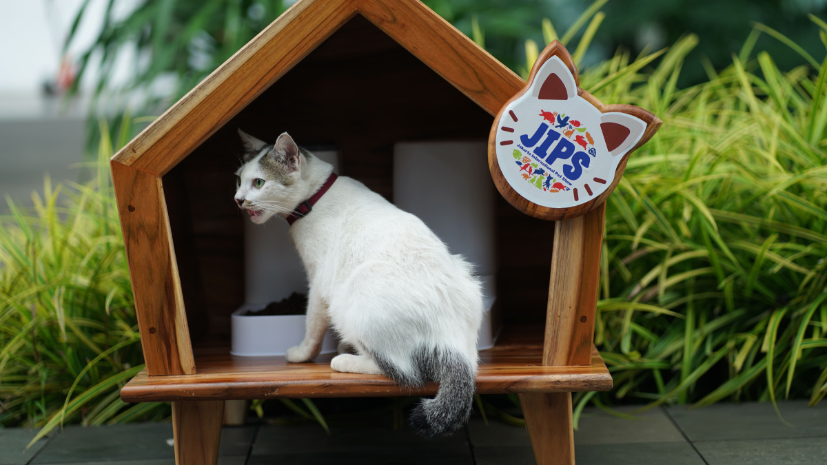 JIPS - Jakarta International Pet Show